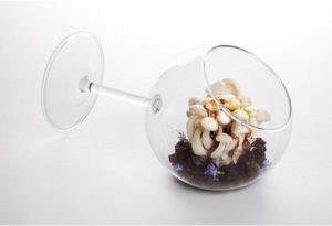 Copas modernas - Glass & Service